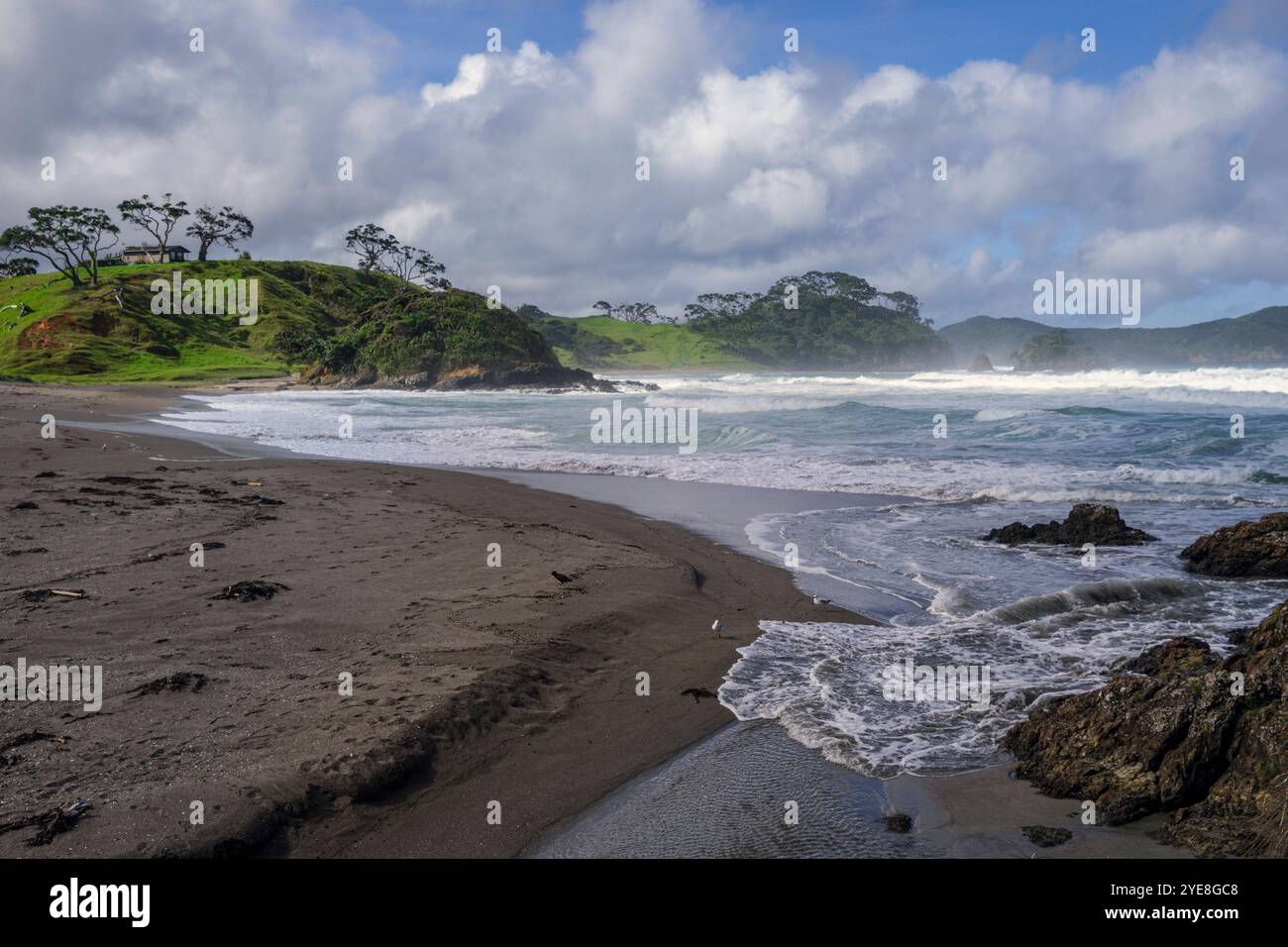 Elliot Bay, North Island, New Zealand Stock Photo - Alamy