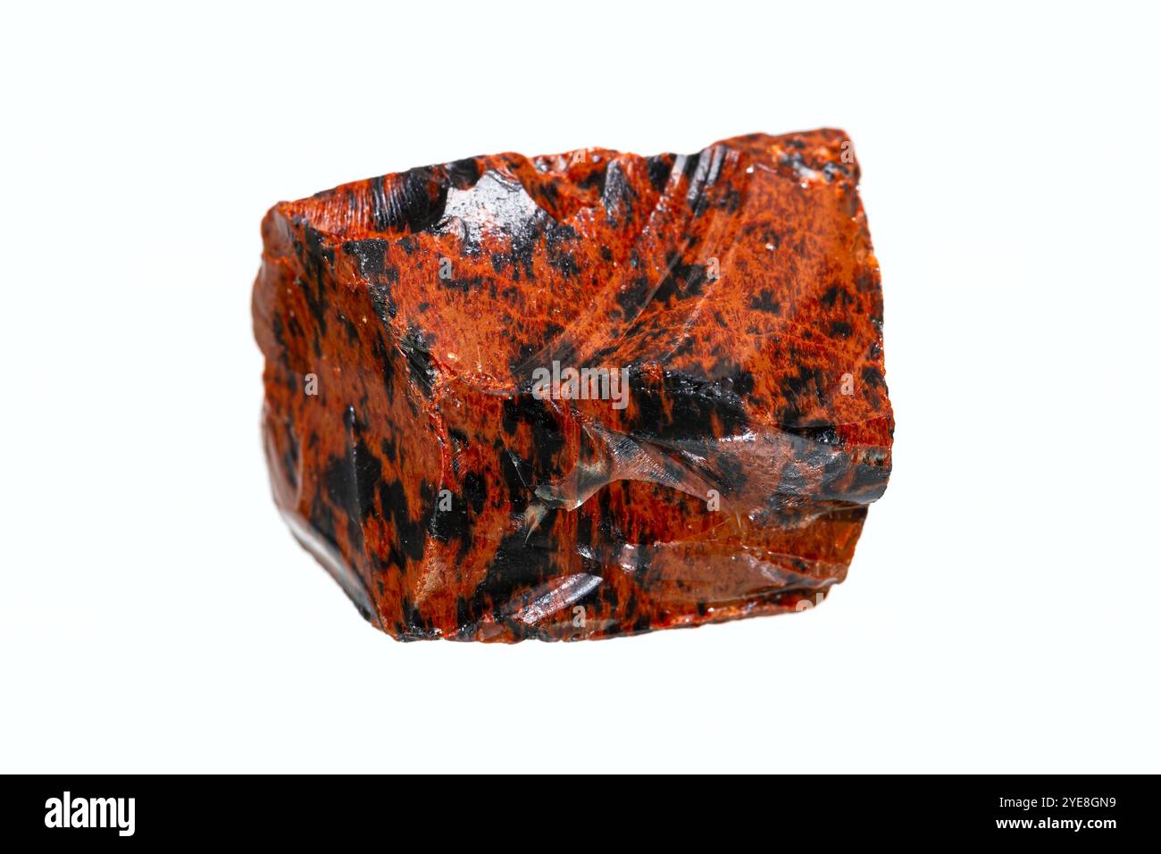 Mahogany red hi-res stock photography and images - Alamy