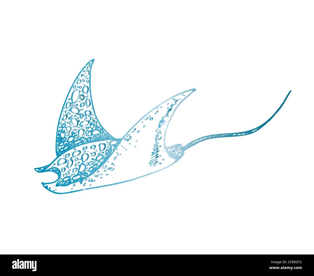 How To Draw A Realistic Stingray