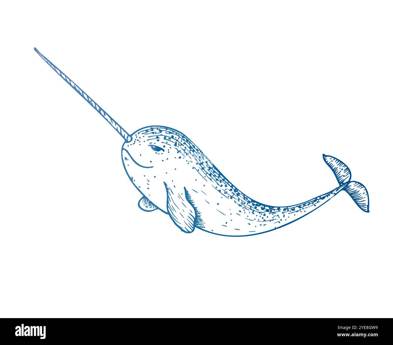 Vector narwhal with a long horn. Hand painted marine animal. Graphic ...