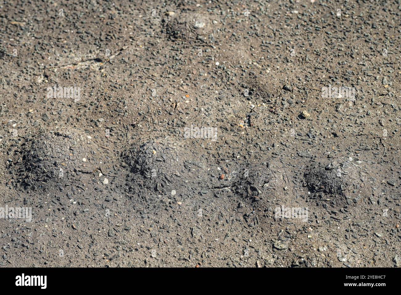 Straße, Beulen und Blasen im Asphalt *** Road, bumps and blisters in ...