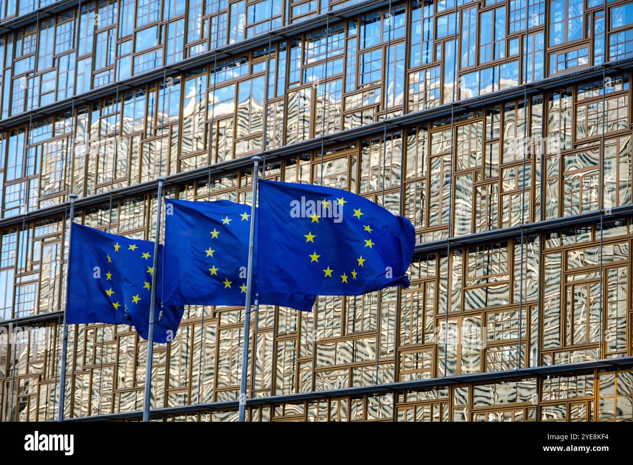 Several official European Flags with the blue and the yellow stars are ...