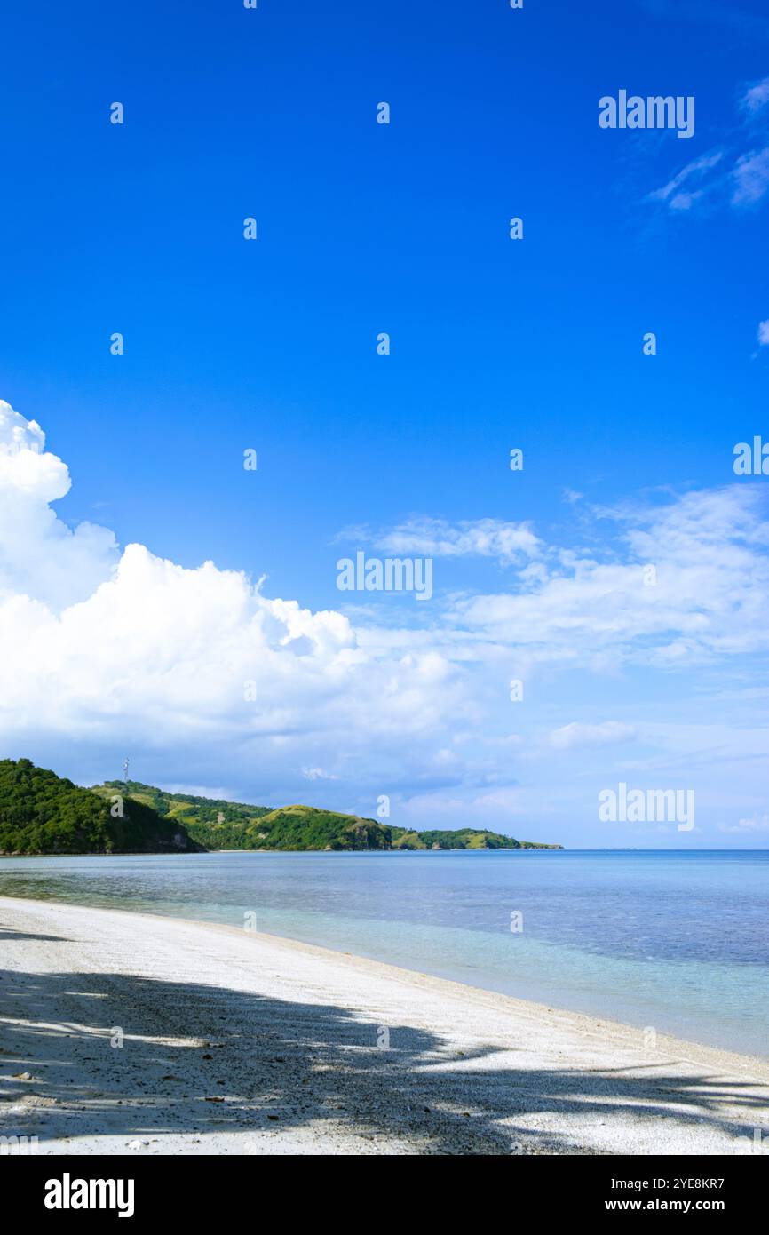 Tropical white sand beach in a blue sky sunny day. Portrait. Aglicay ...