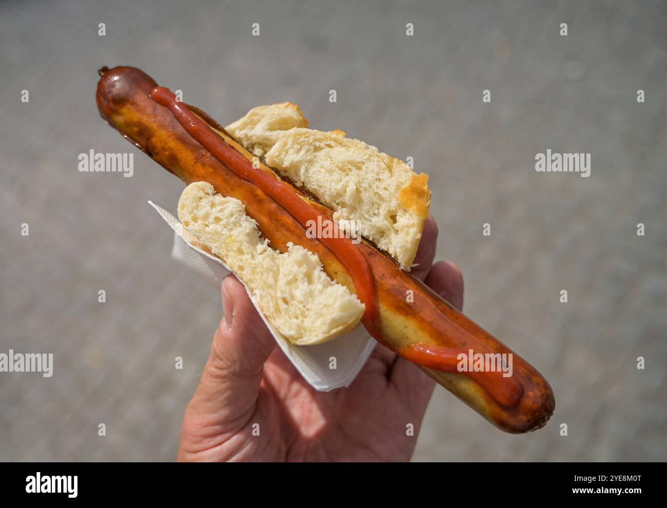 Thüringer Rostbratwurst im Brötchen mit Ketchup *** Thuringian grilled ...