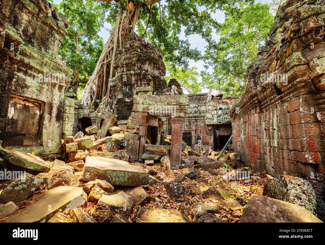 Ruins among trees hi-res stock photography and images - Alamy