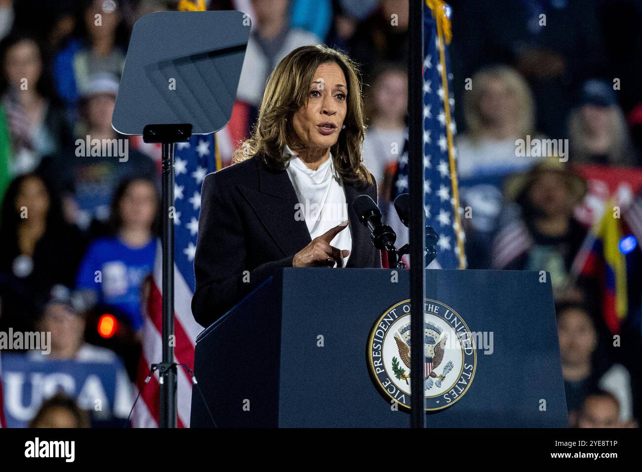 United States Vice President Kamala Harris, the 2024 Democratic Party ...
