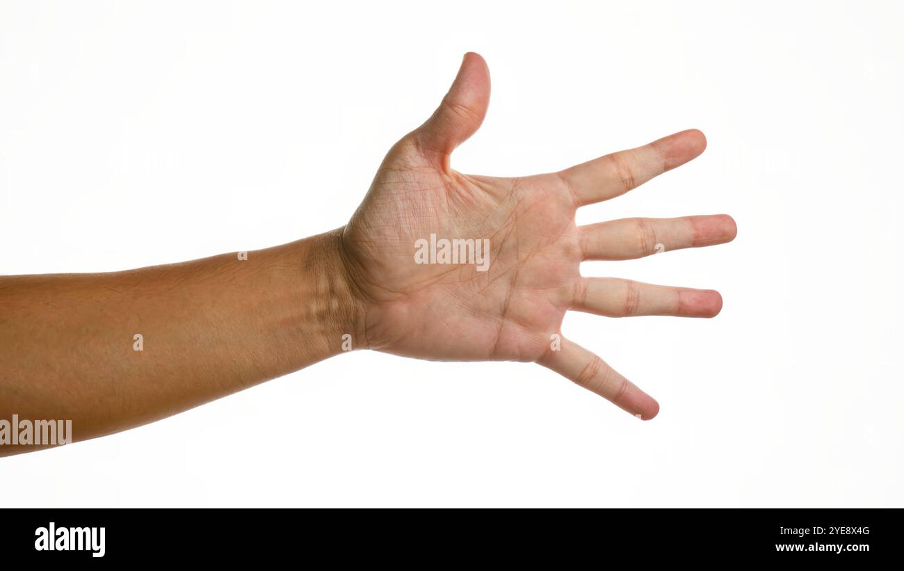 Human palm macro lines hi-res stock photography and images - Alamy