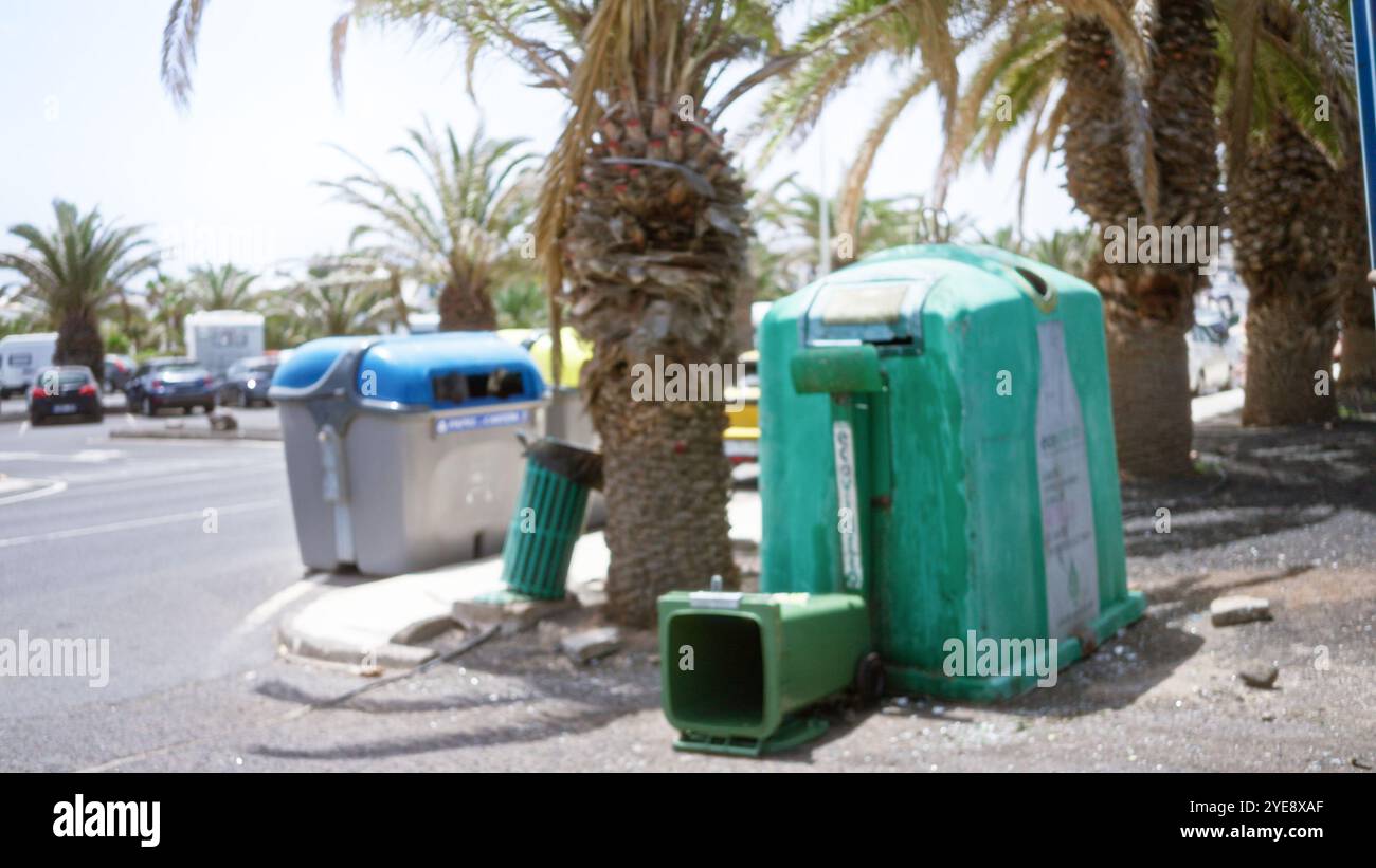 Defocused waste containers in a sunny urban area with blurred palm ...