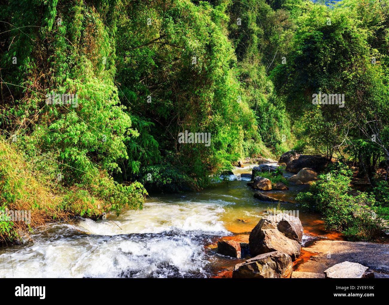 Scenic river crystal clear hi-res stock photography and images - Alamy