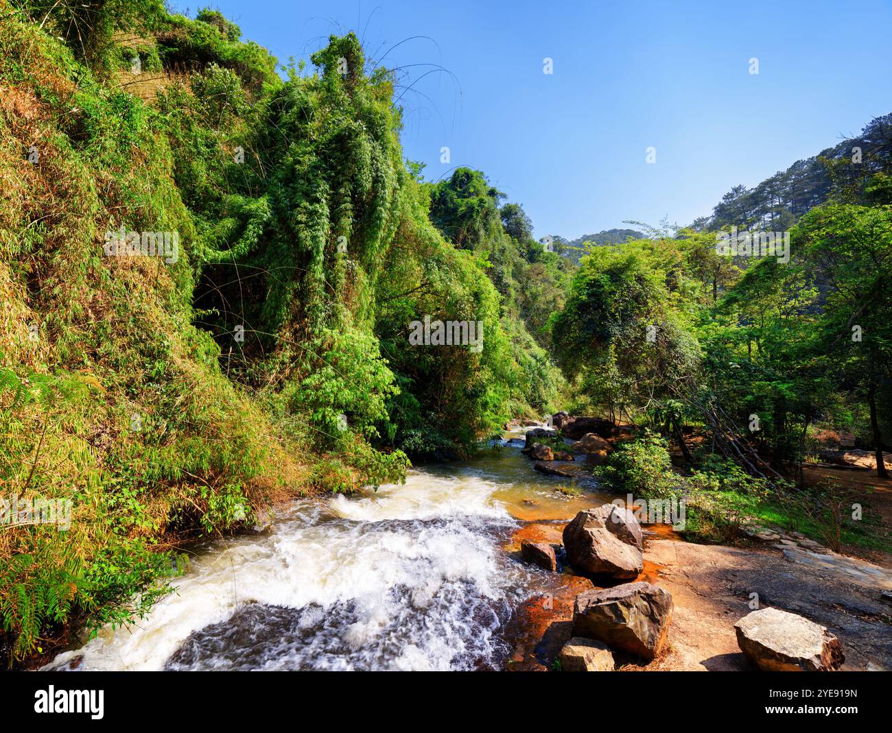 Scenic countryside view river tropical hi-res stock photography and ...