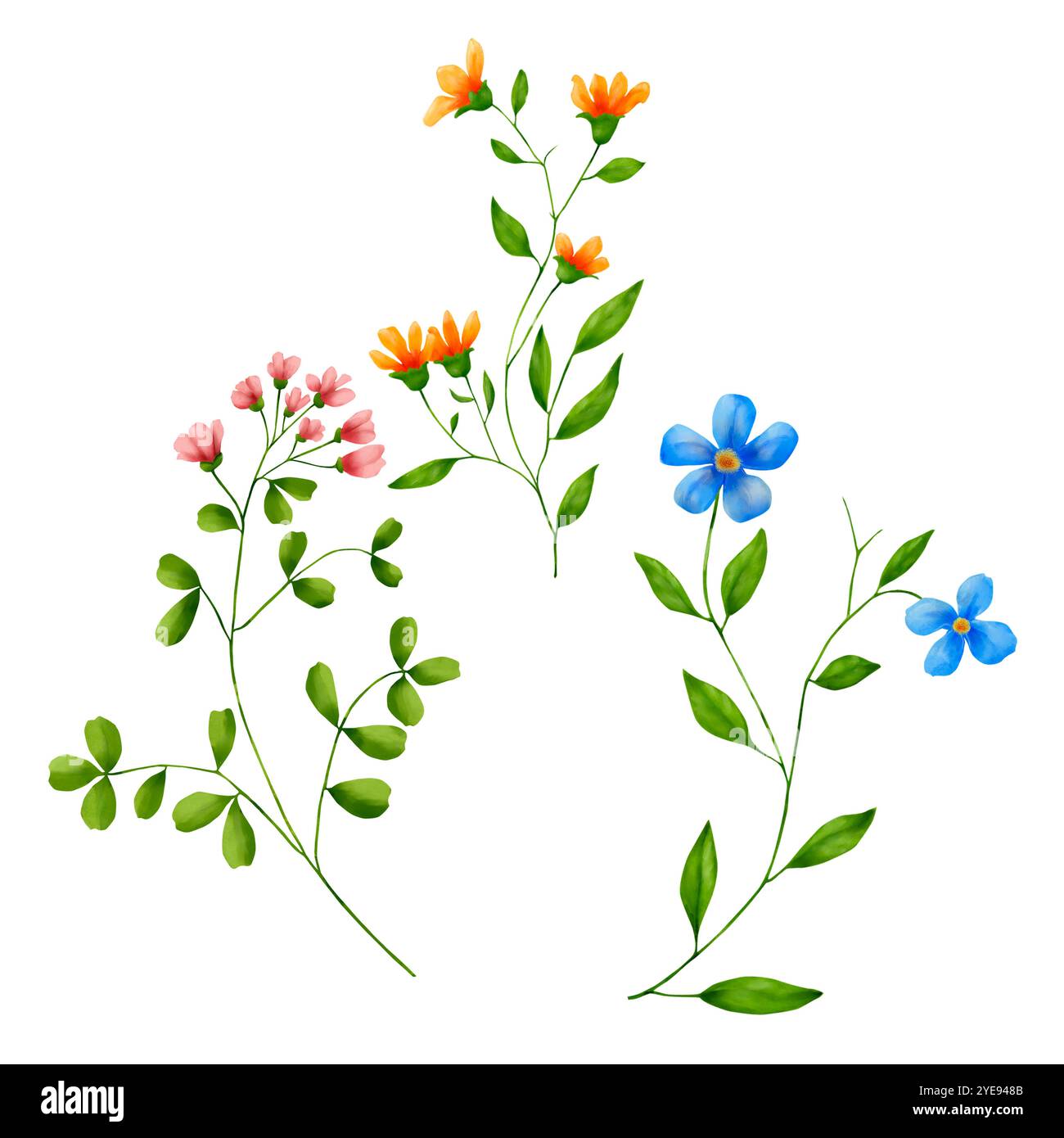 Blue wild meadow forget Cut Out Stock Images & Pictures - Alamy