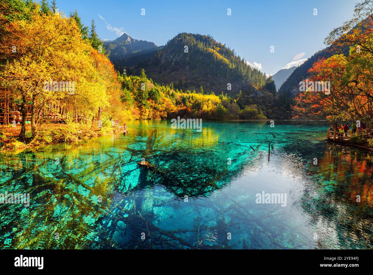 Five flower lake in jiuzhaigou national park, china hi-res stock ...