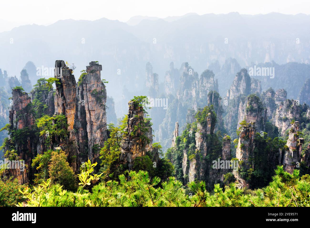 Quartz sandstone pillars, the Tianzi Mountains (Avatar Rocks Stock ...