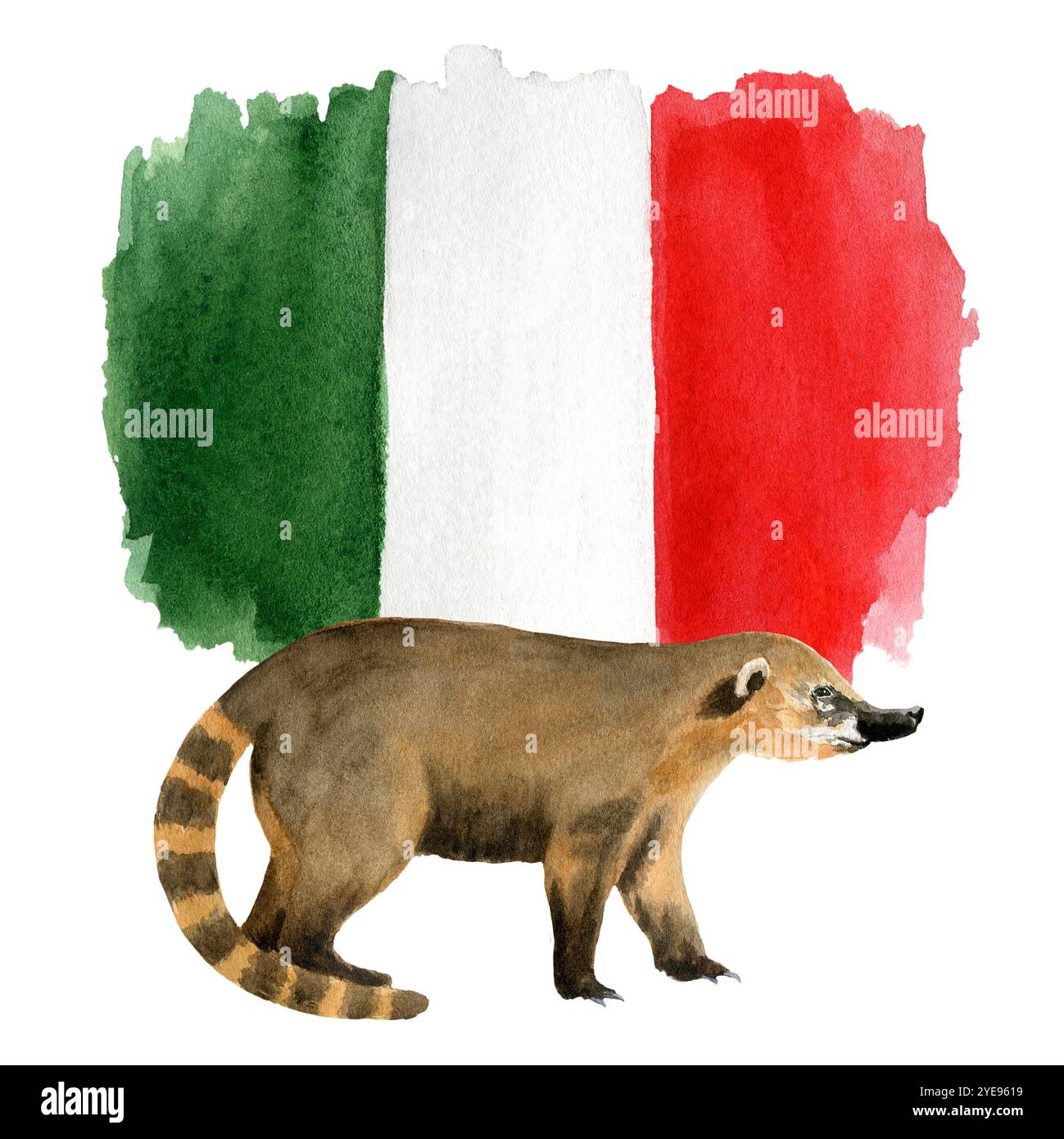 Mexican flag splash design with nasua. Watercolor illustration isolated ...