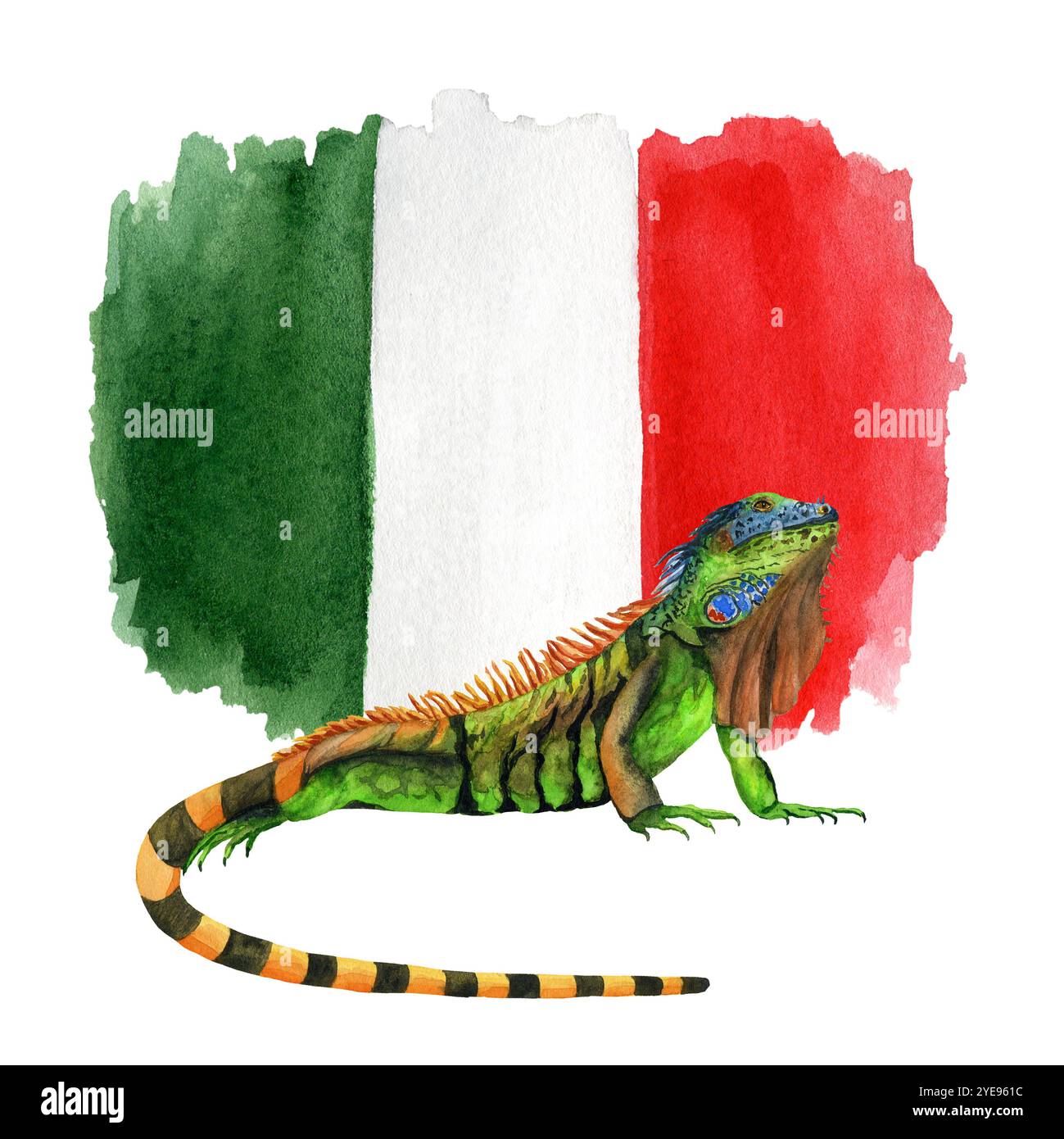 Mexican flag splash design with iguana. Watercolor illustration ...