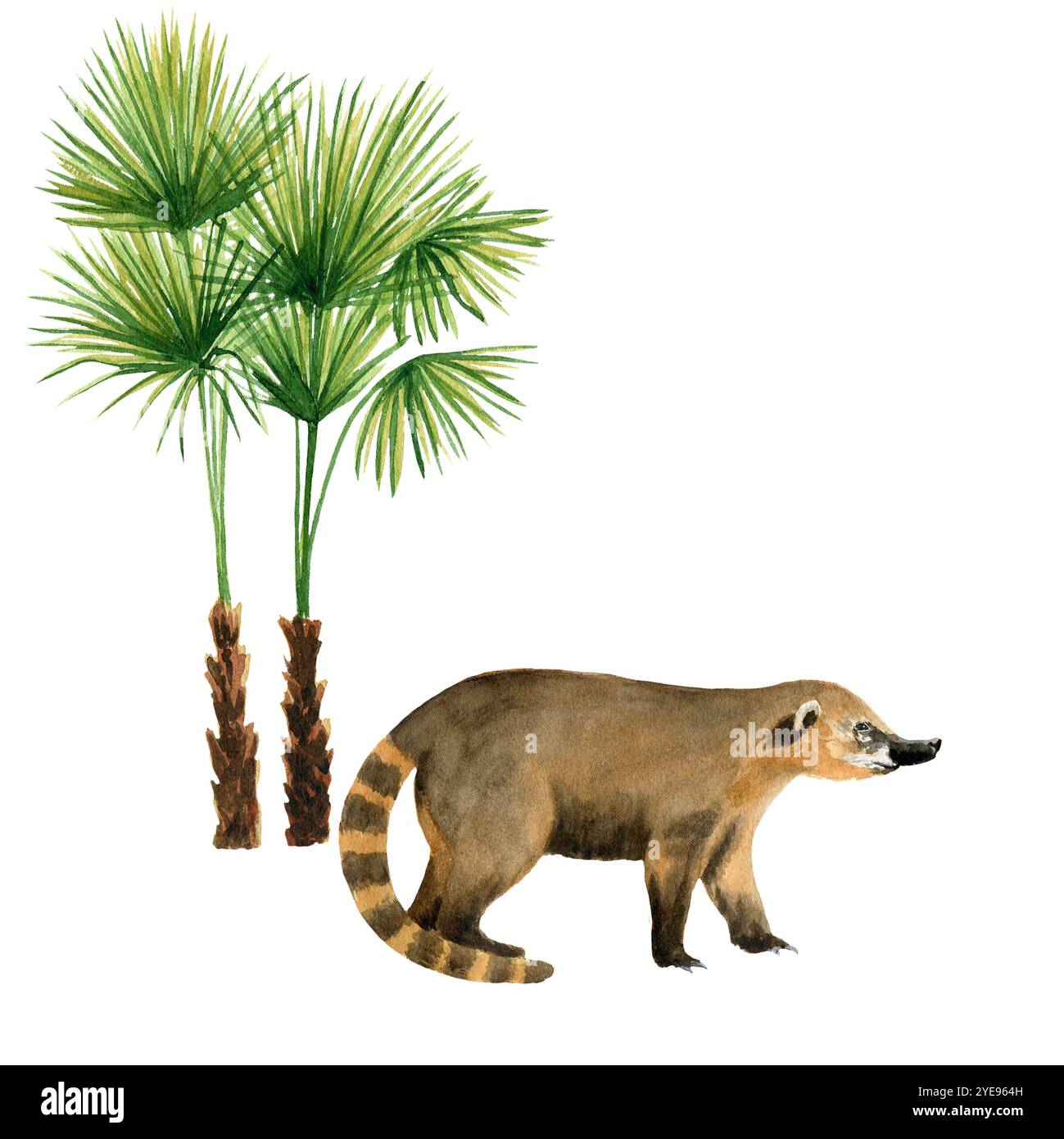 Washingtonia palm Cut Out Stock Images & Pictures - Alamy