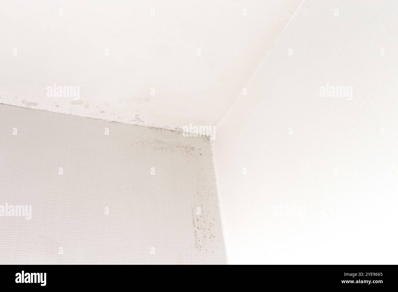 Mold and moisture damage on ceiling near window frame white textured ...