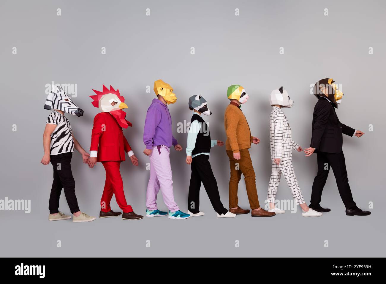 Full size profile photo of zebra gorilla raccoon lion panda sloth ...