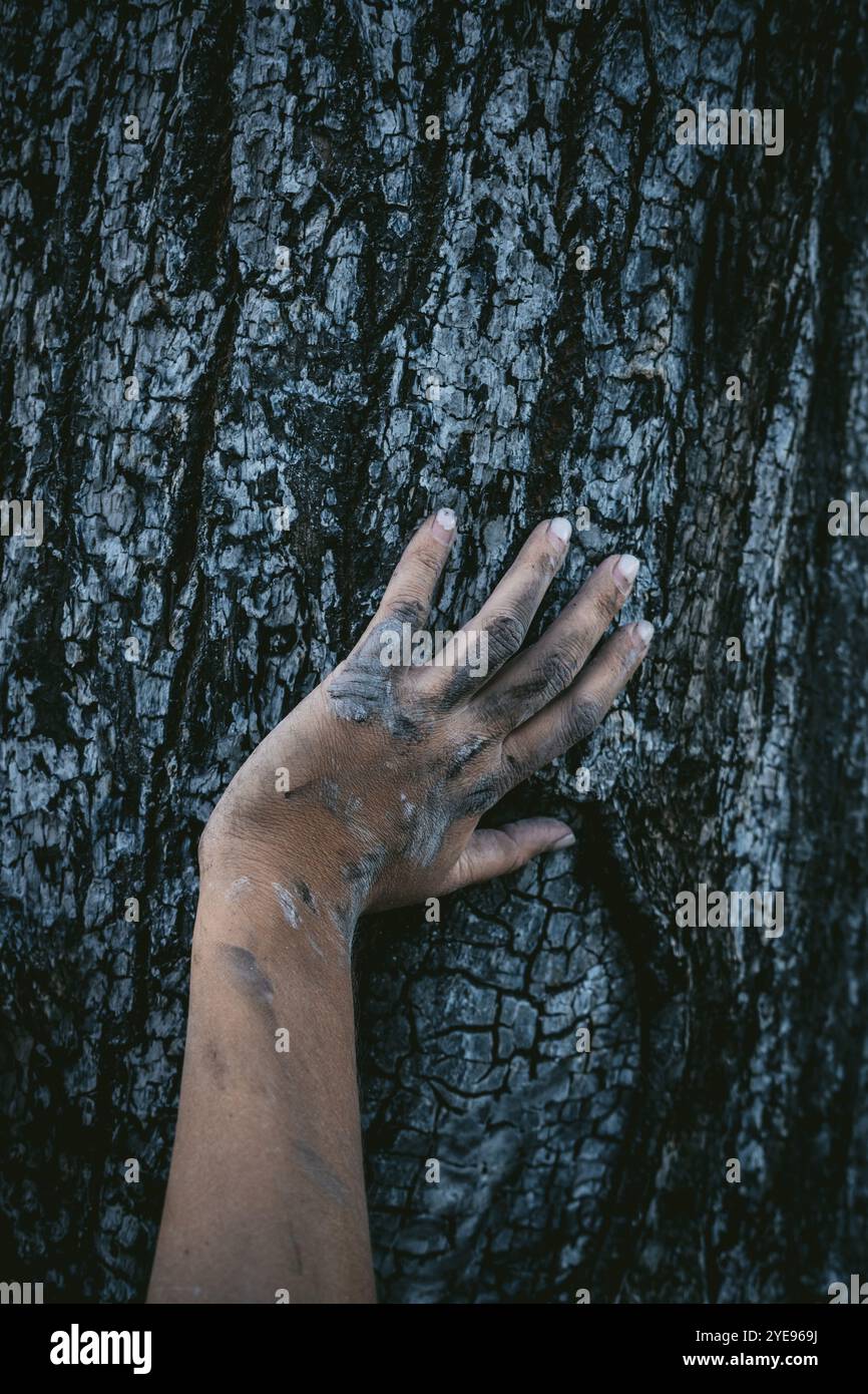Big tree concept hand hi-res stock photography and images - Alamy