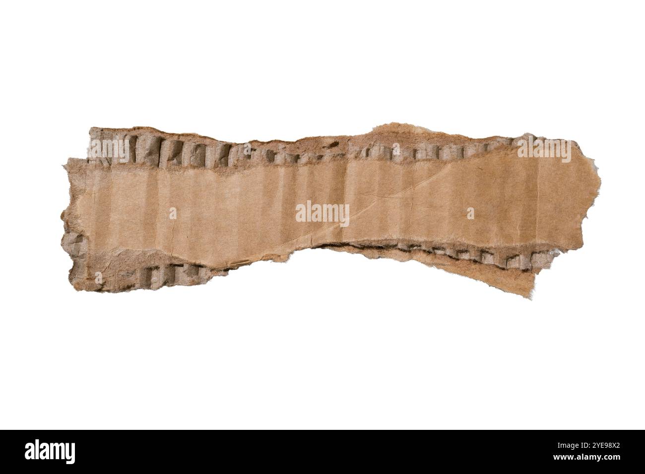 Torn cardboard paper for using as a text box on white background with ...