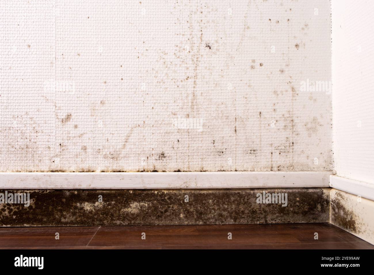 Indoor moisture hi-res stock photography and images - Alamy