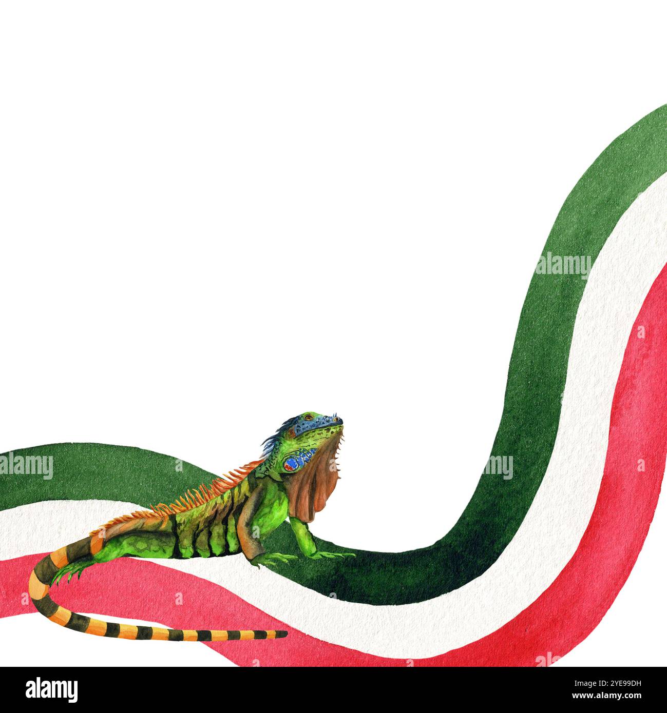 Postcard with mexican flag on ribbon and iguana, with copy space ...