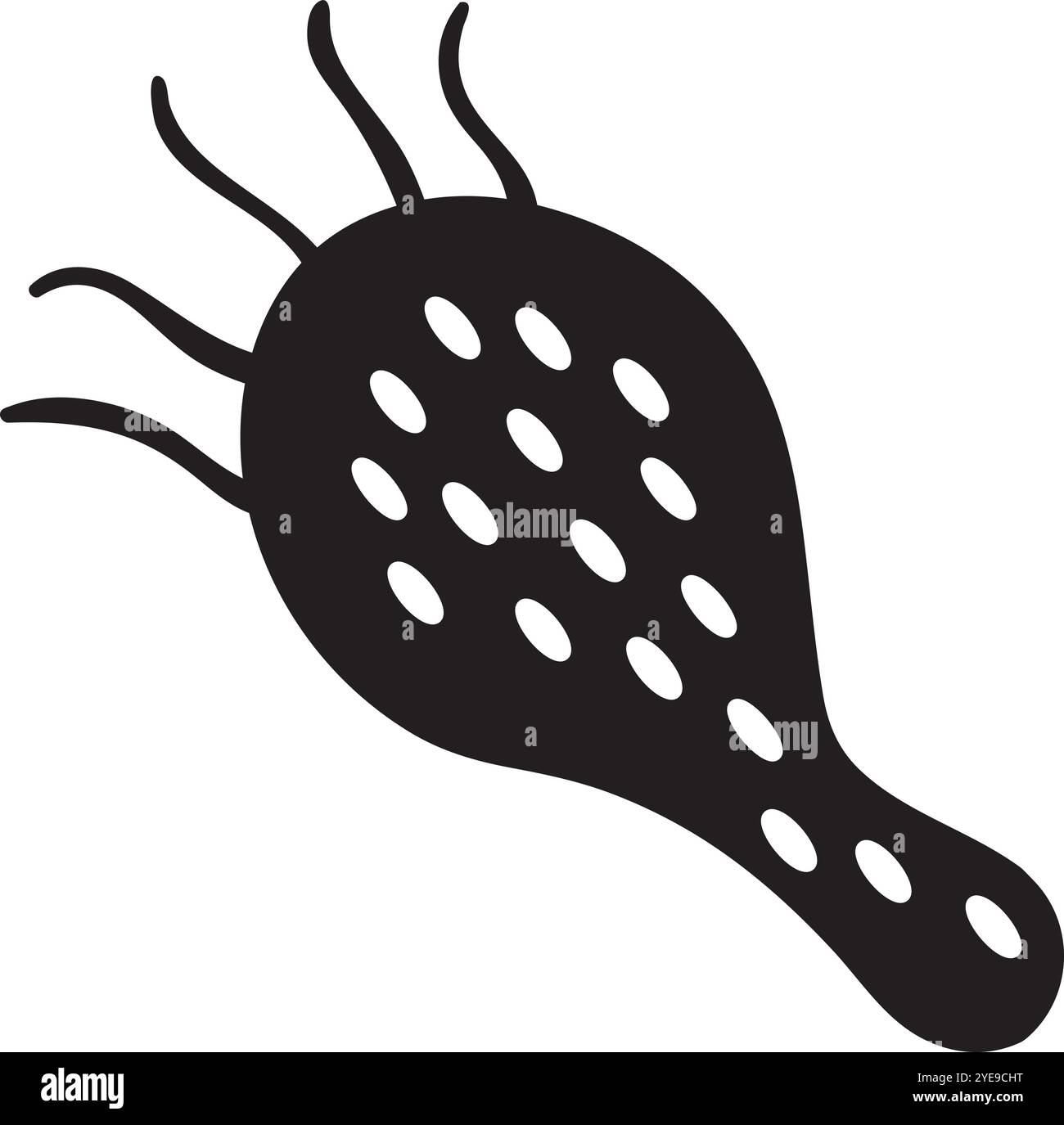Simple black and white illustration of a paramecium aurelia, a single ...