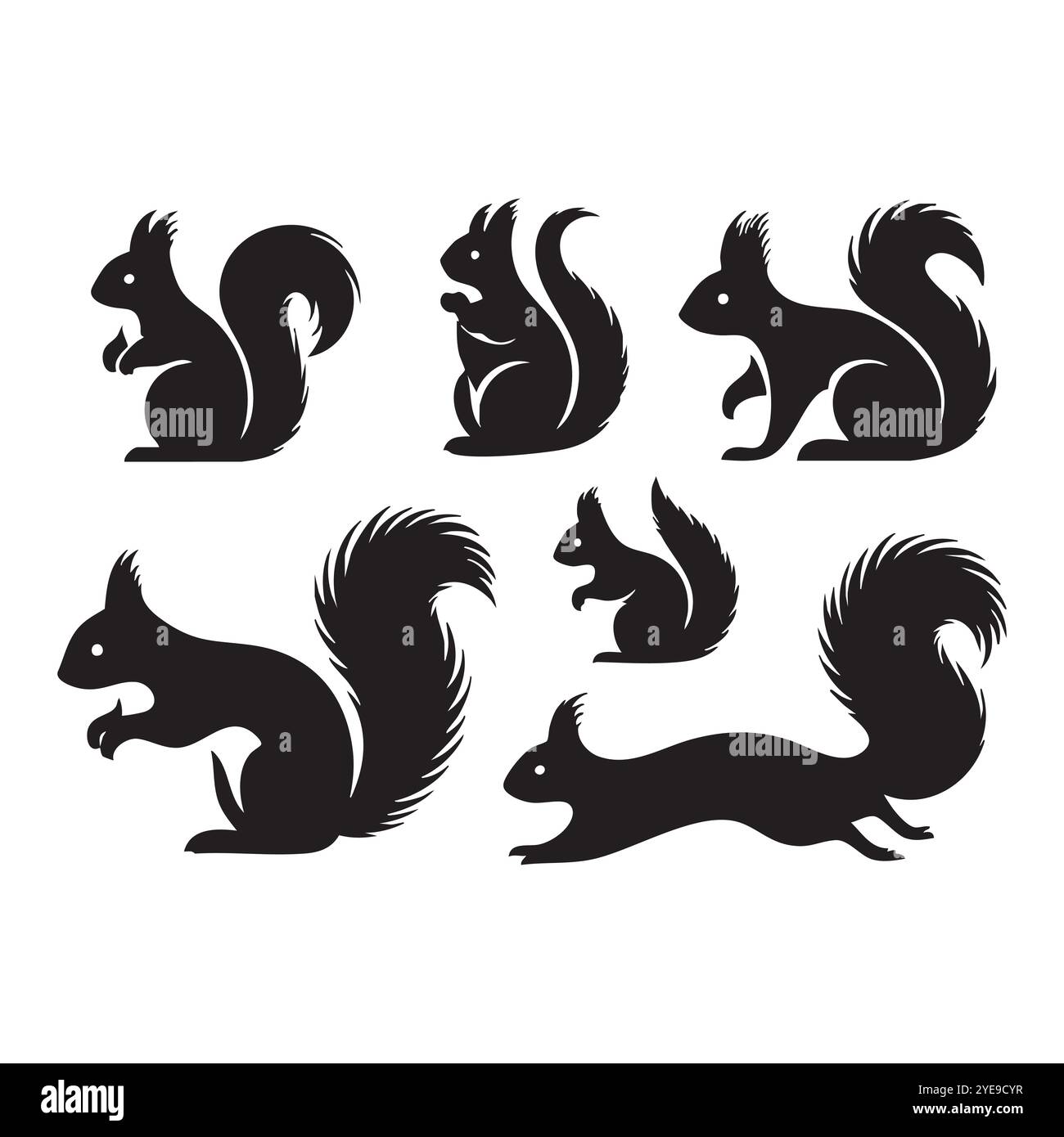 Front of squirrel Stock Vector Images - Alamy