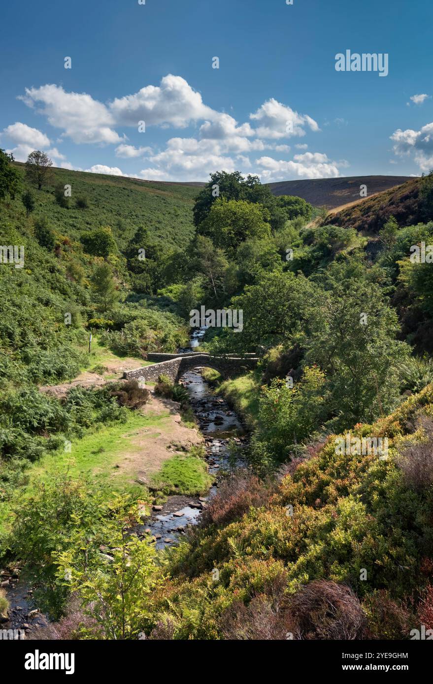 Derbyshire Bridge and the River Goyt in summer, Goyt Valley, Peak ...