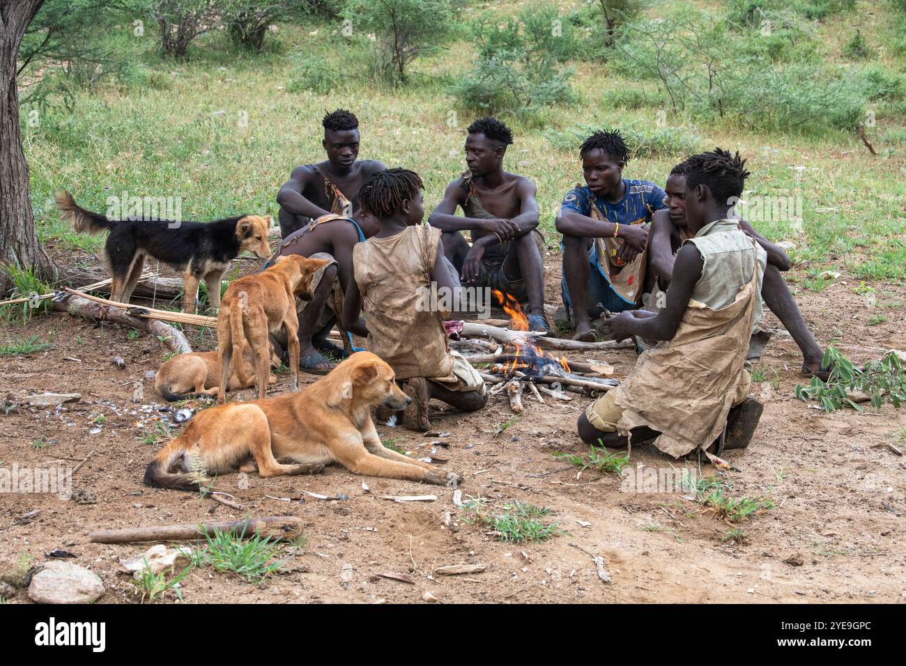 Half african tourist listening hi-res stock photography and images - Alamy