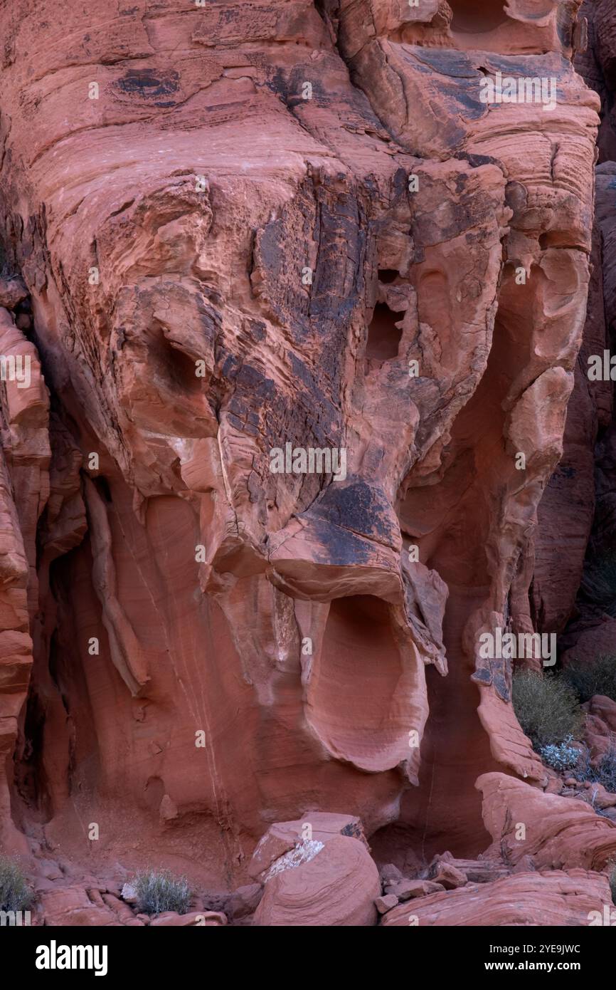 Twisted Face in the rock, Valley of Fire State Park, Nevada, United ...