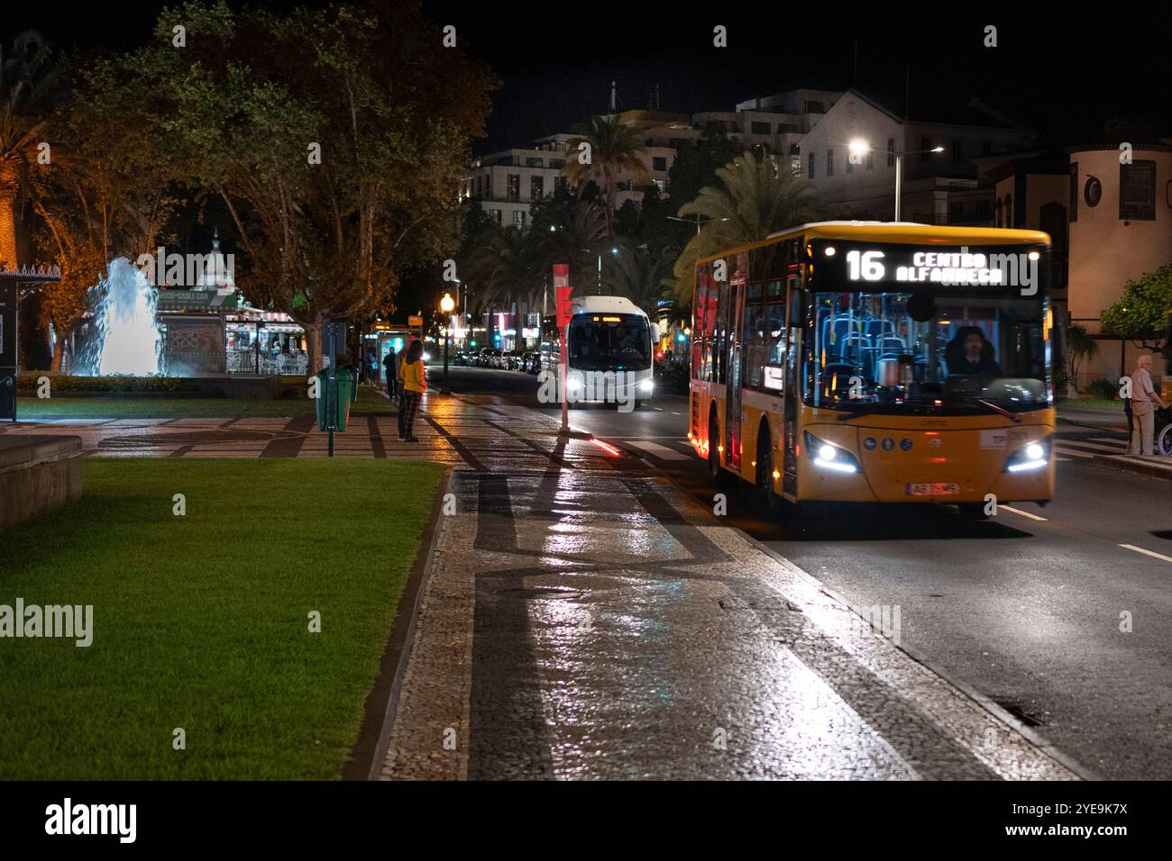 City buses on the street at night in the coastal town of Funchal on the ...
