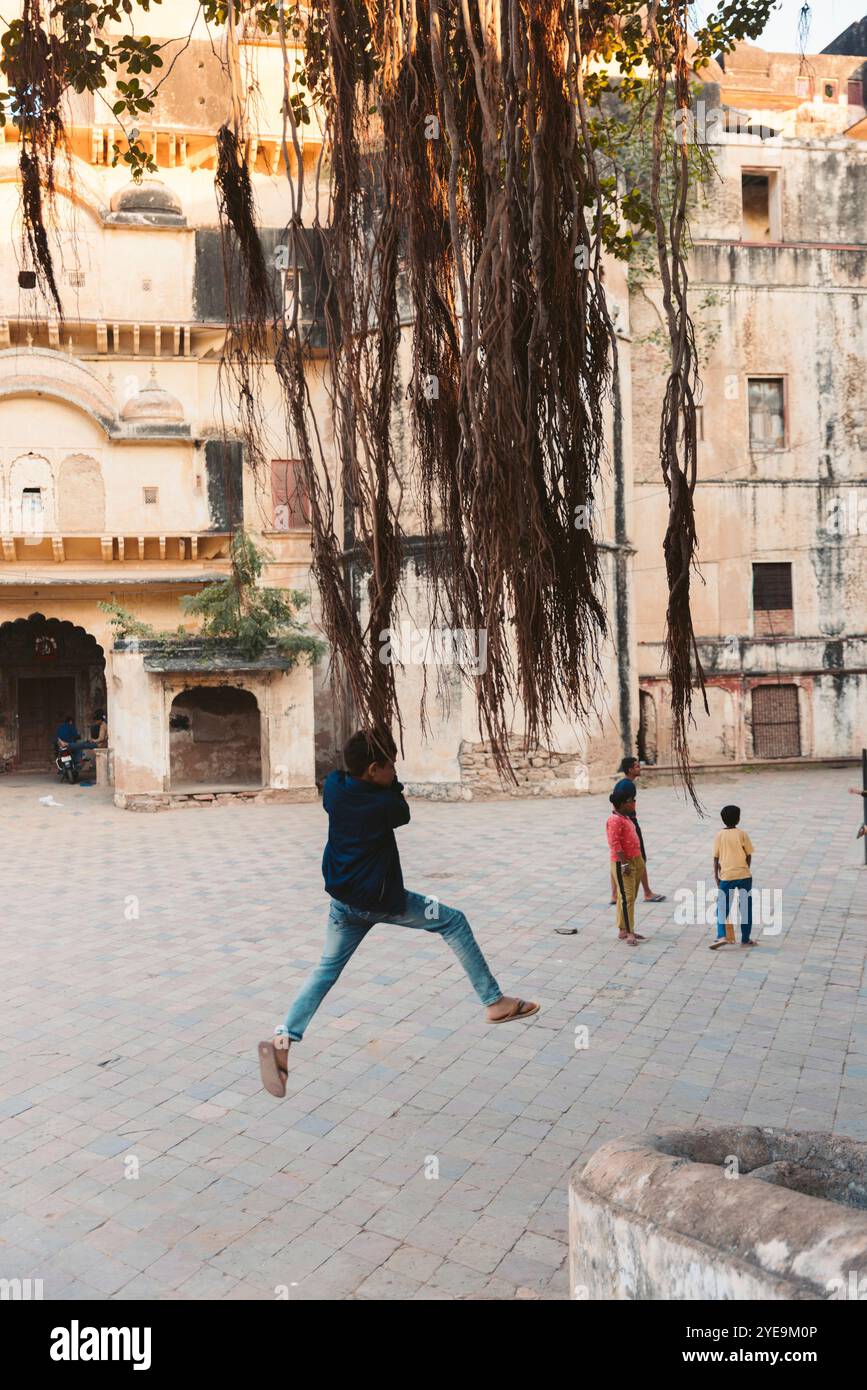 Boy hangs from a tree at Alwar City Palace in Rajasthan, India; Alwar ...