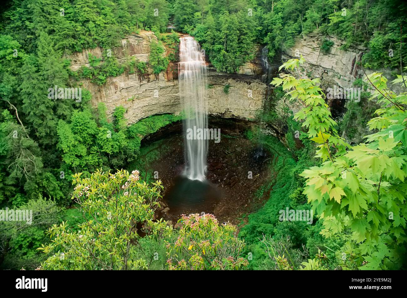 Waterfall and lush green foliage in Fall Creek Falls State Park ...