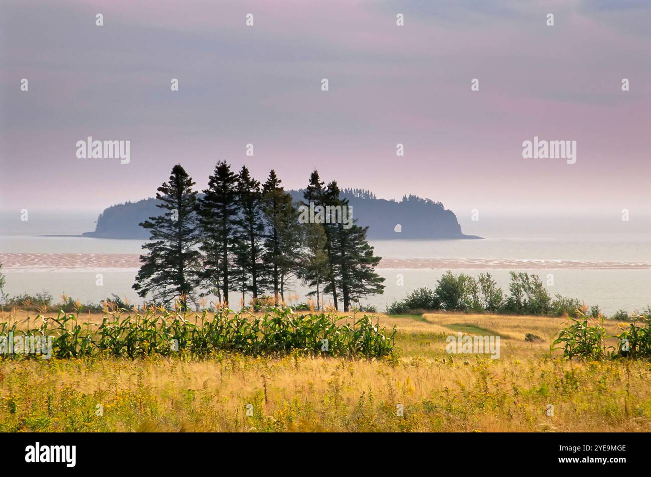 Five Islands Provincial Park in the Bay of Fundy, with mist at sunrise; Nova Scotia, Canada ...