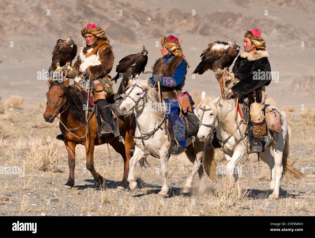 Mongolian Eagle Hunters on horseback with Golden Eagles (Aquila ...