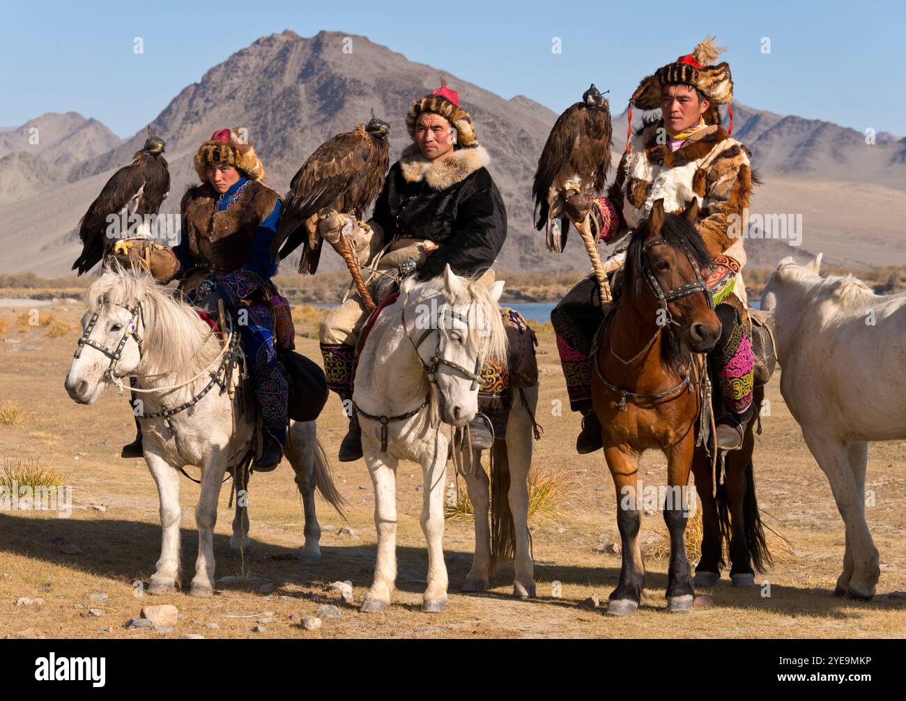 Mongolian Eagle Hunters on horseback with Golden Eagles (Aquila chrysaetos) at the Eagle ...