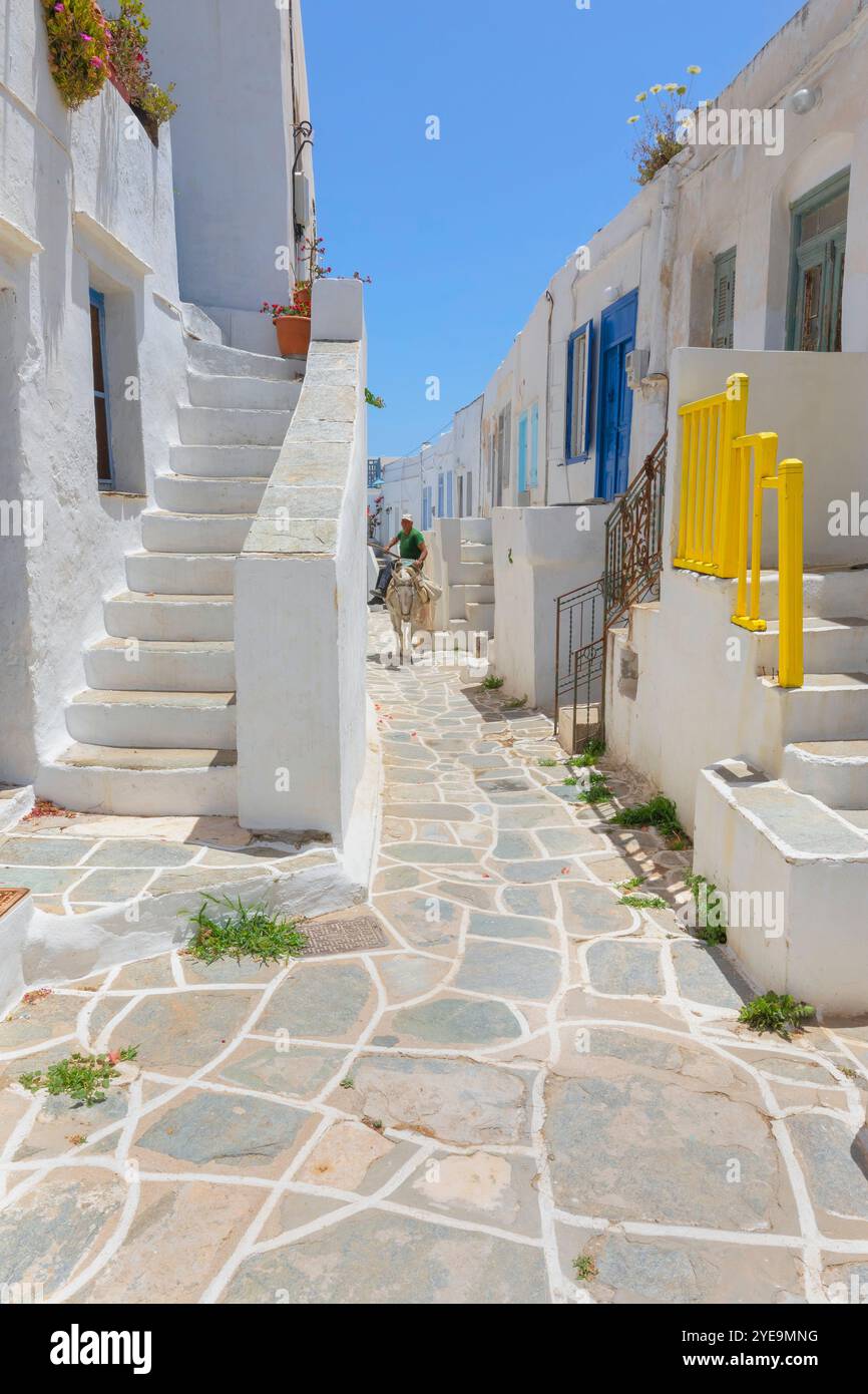Man riding a mule down a narrow street between whitewash housing in the ...