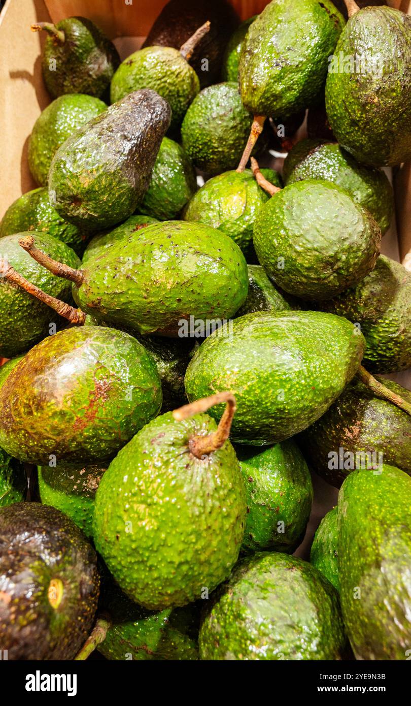 Display of avocados hi-res stock photography and images - Alamy