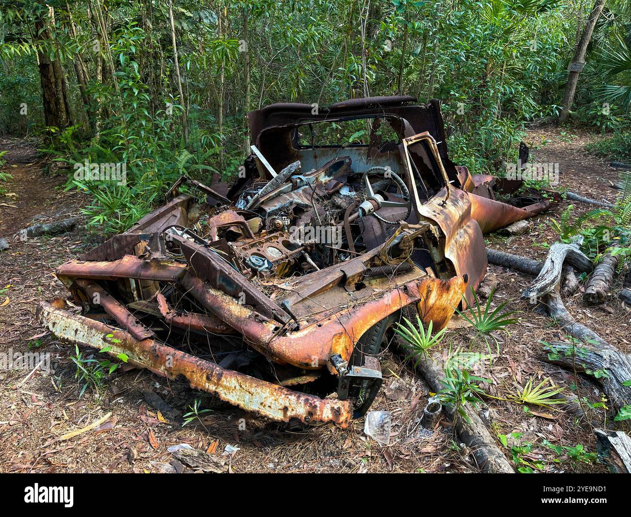 Rusty Old Car, Abandoned, Destroyed in Pieces in a forest, Sunrise ...
