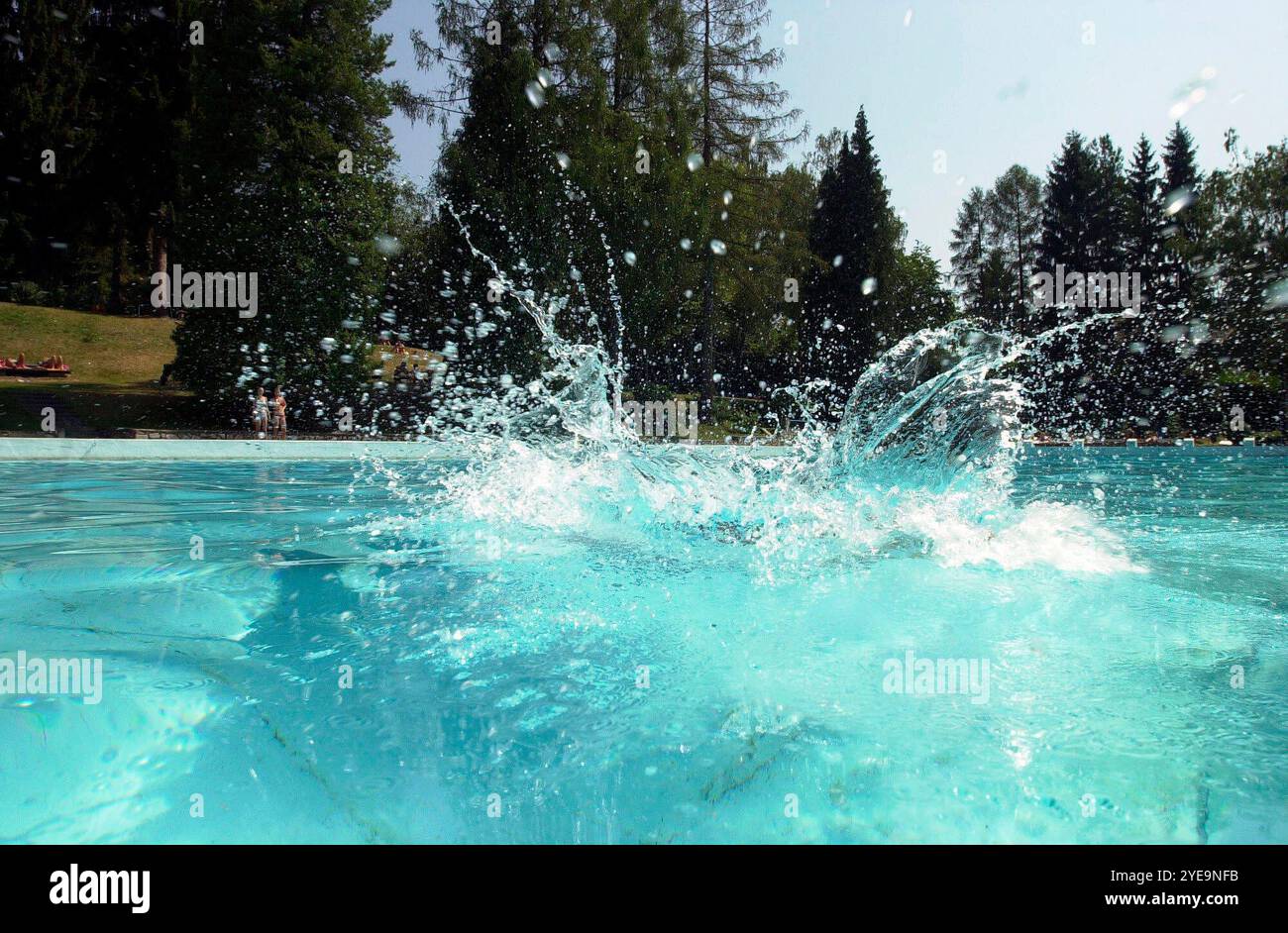 diving into the swimming pool with a header on a summer day diving into ...