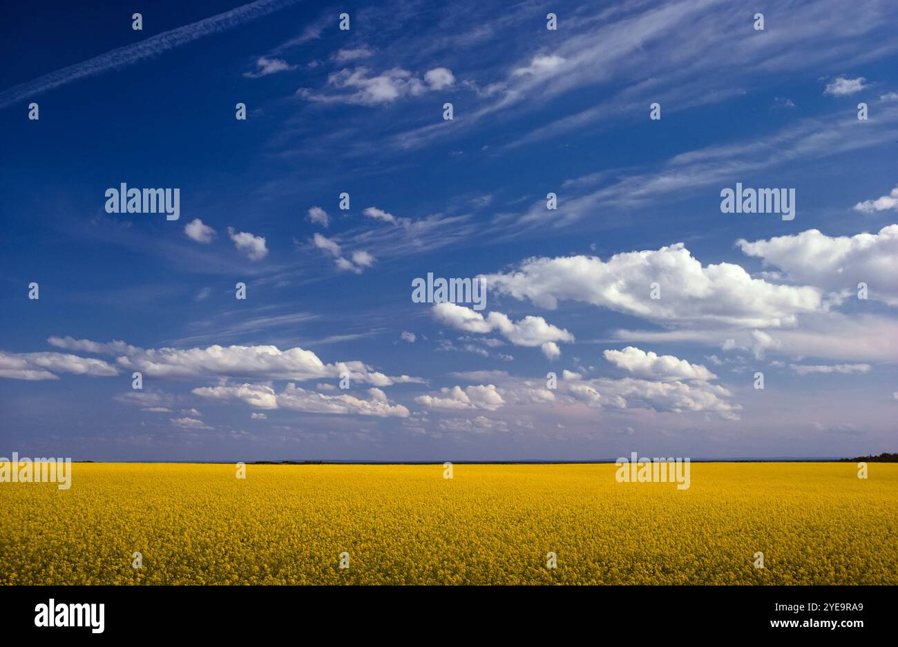 700-00050283 © J. A. Kraulis Model Release: No Property Release: No ...