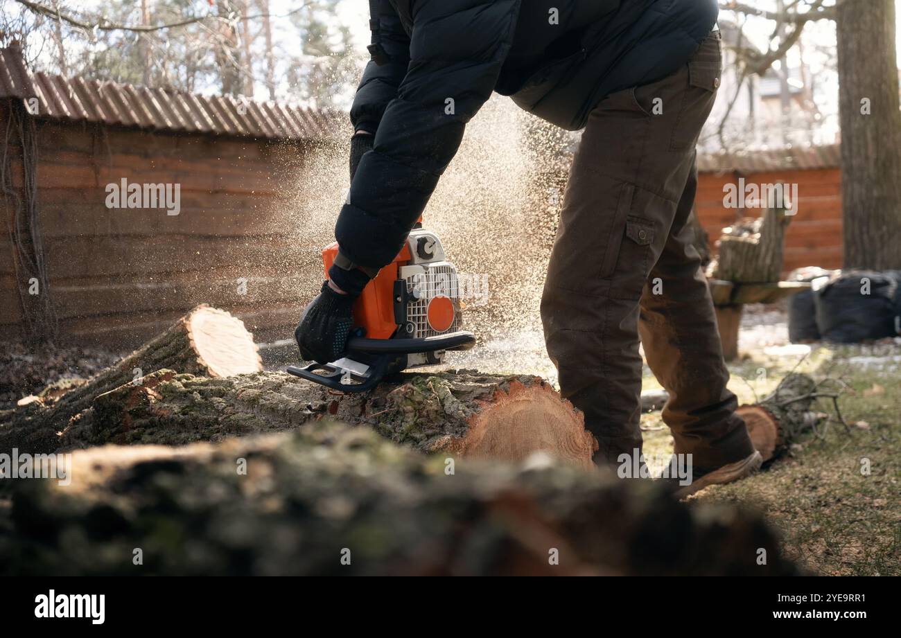 Arborist cutting wood with a chainsaw against the background of flying ...