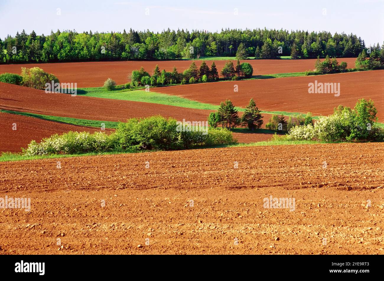 Farmland Queens County, P.E.I., Canada Stock Photo - Alamy