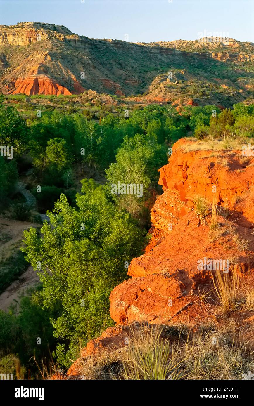 Rugged red rock cliffs and vegetation in a valley Stock Photo - Alamy