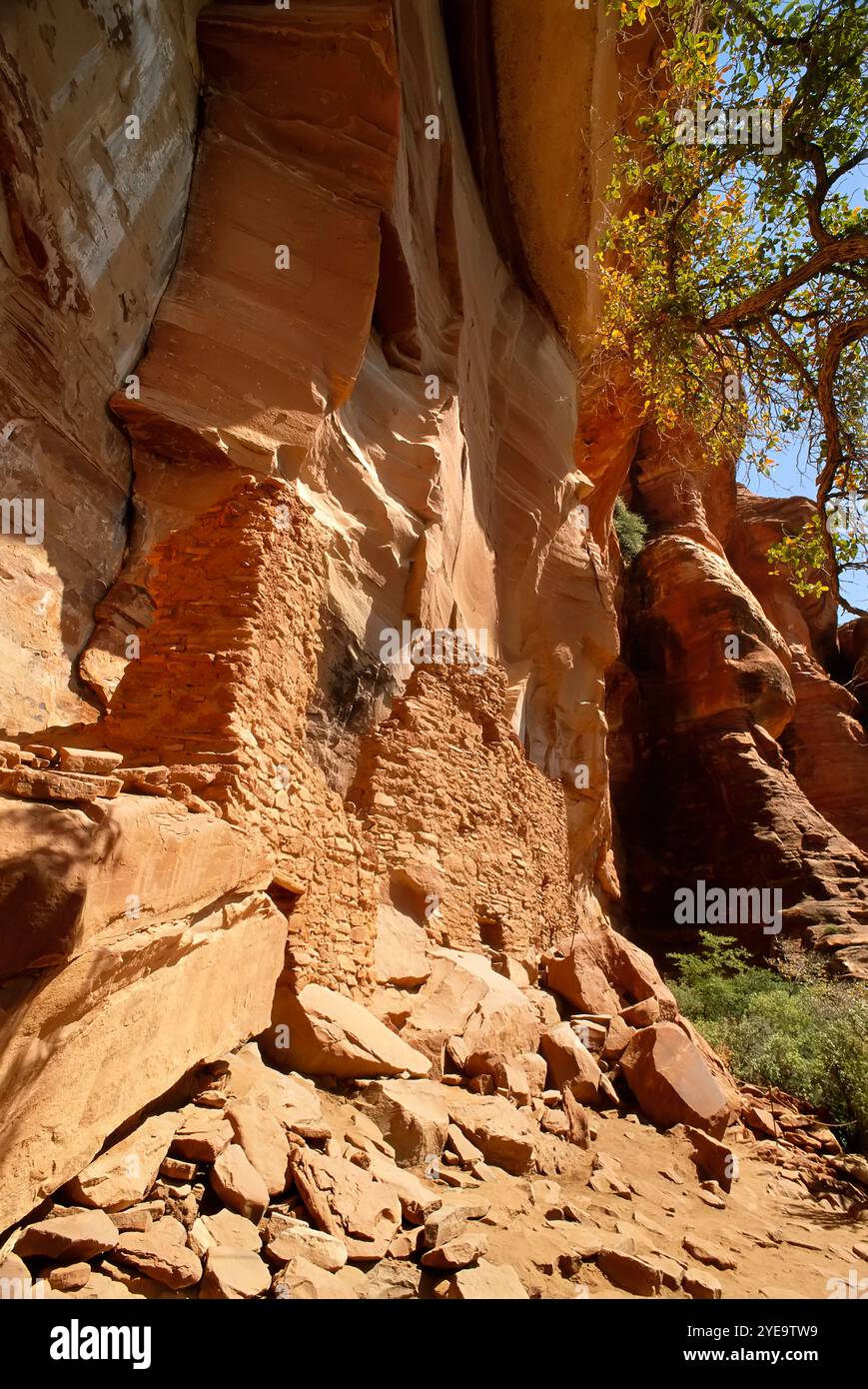 Ancient ruins at Palatki Heritage Site in Arizona, USA; Arizona, United ...