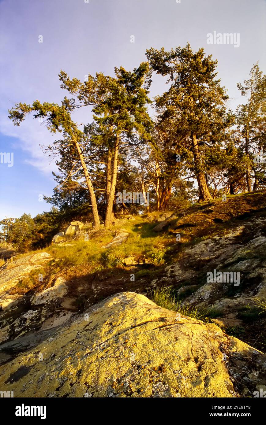 Natural beauty on Prevost Island in Gulf Islands National Park Reserve ...
