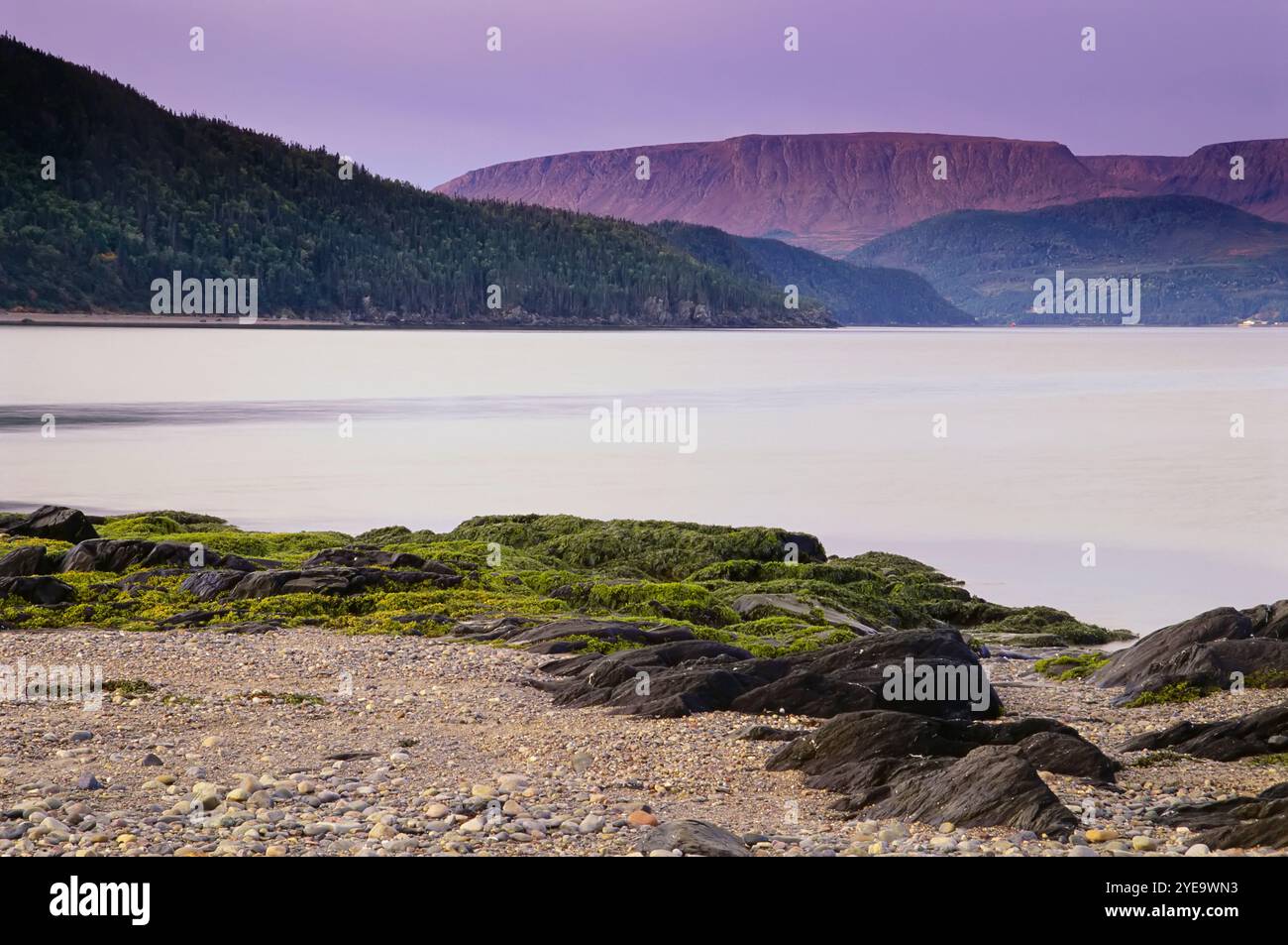 Bonne Bay from Norris Point in Gros Morne National Park, Newfoundland ...