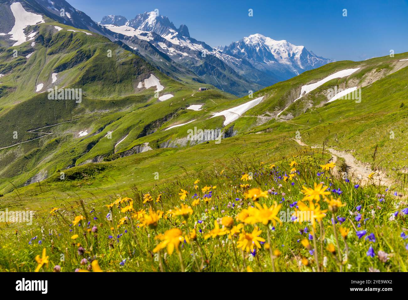 Mont Blanc, Monte Bianco mountain summit snow dome above the Chamonix ...