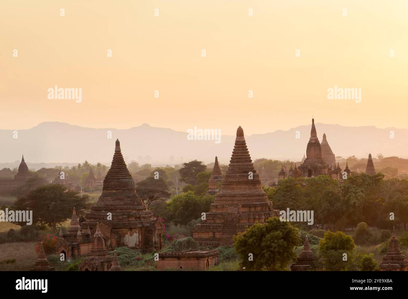 Temples at sunset from Shwesandaw Pagoda in Bagan, Myanmar; Bagan, Myanmar Stock Photo - Alamy